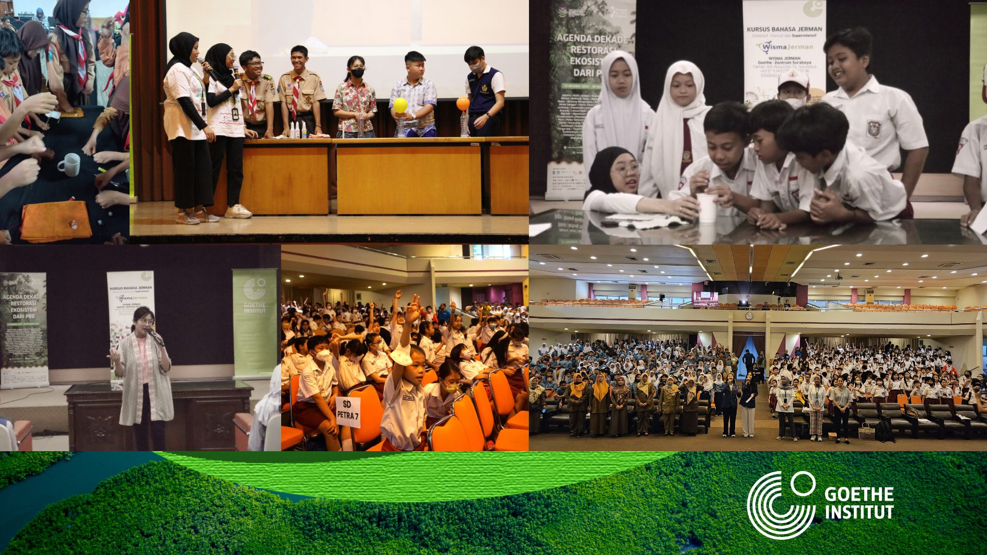 SCIENCE FILM FESTIVAL 2023: UNITED NATIONS (UN) DECADE ON ECOSYSTEM ...